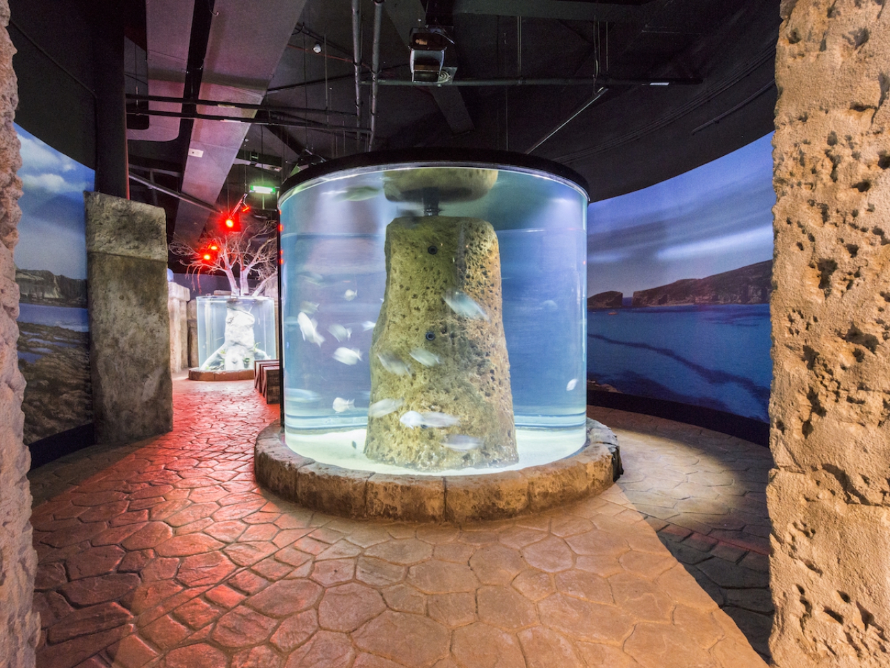 Gallery & Video – Malta National Aquarium