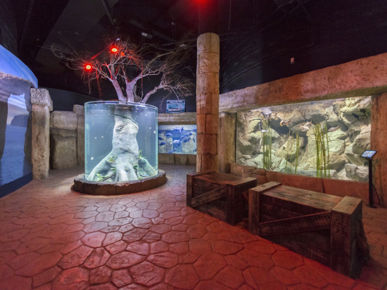 Gallery & Video – Malta National Aquarium