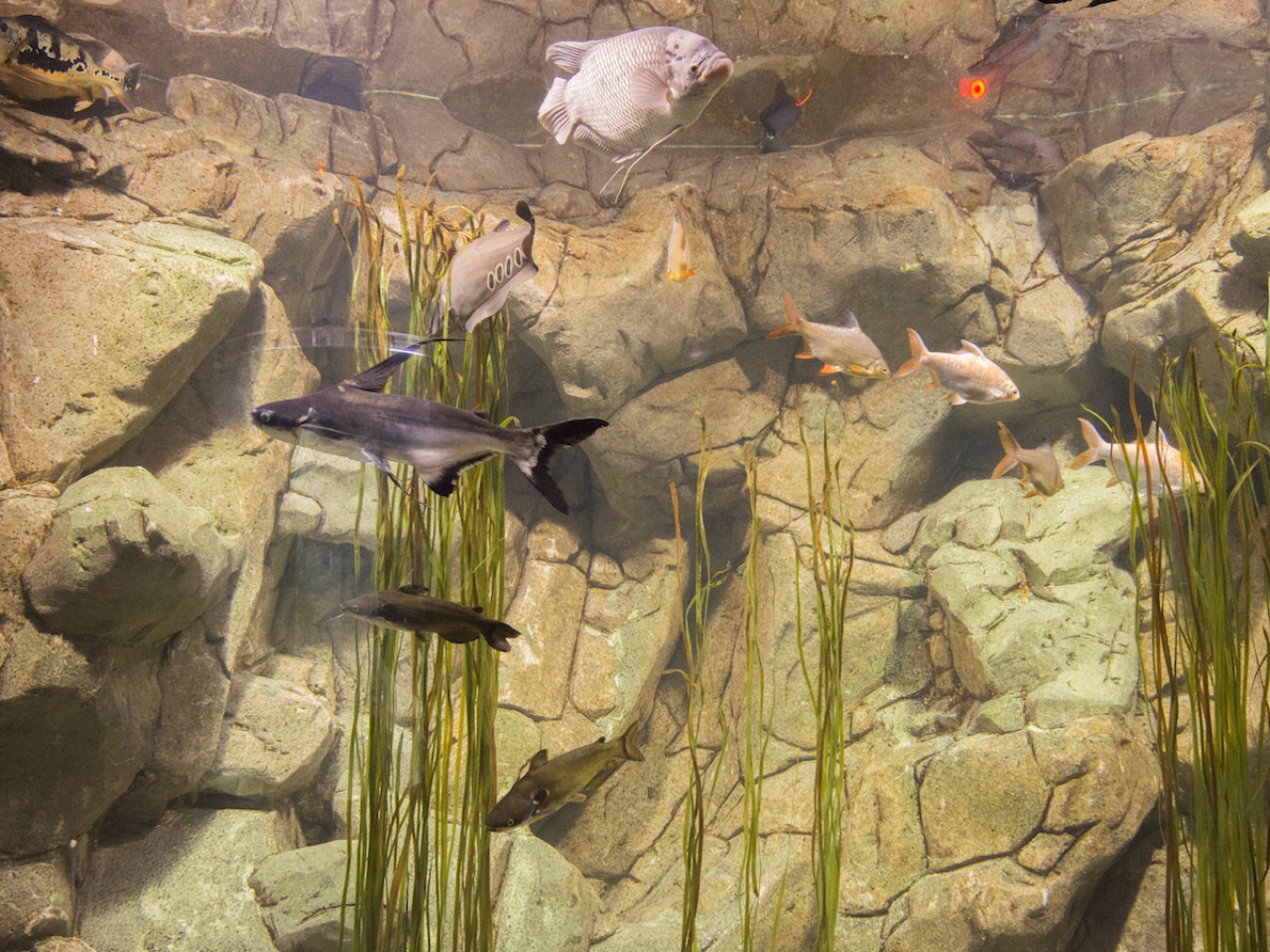 Gallery & Video – Malta National Aquarium
