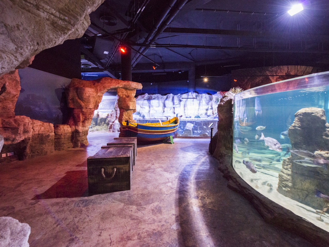 Gallery & Video – Malta National Aquarium